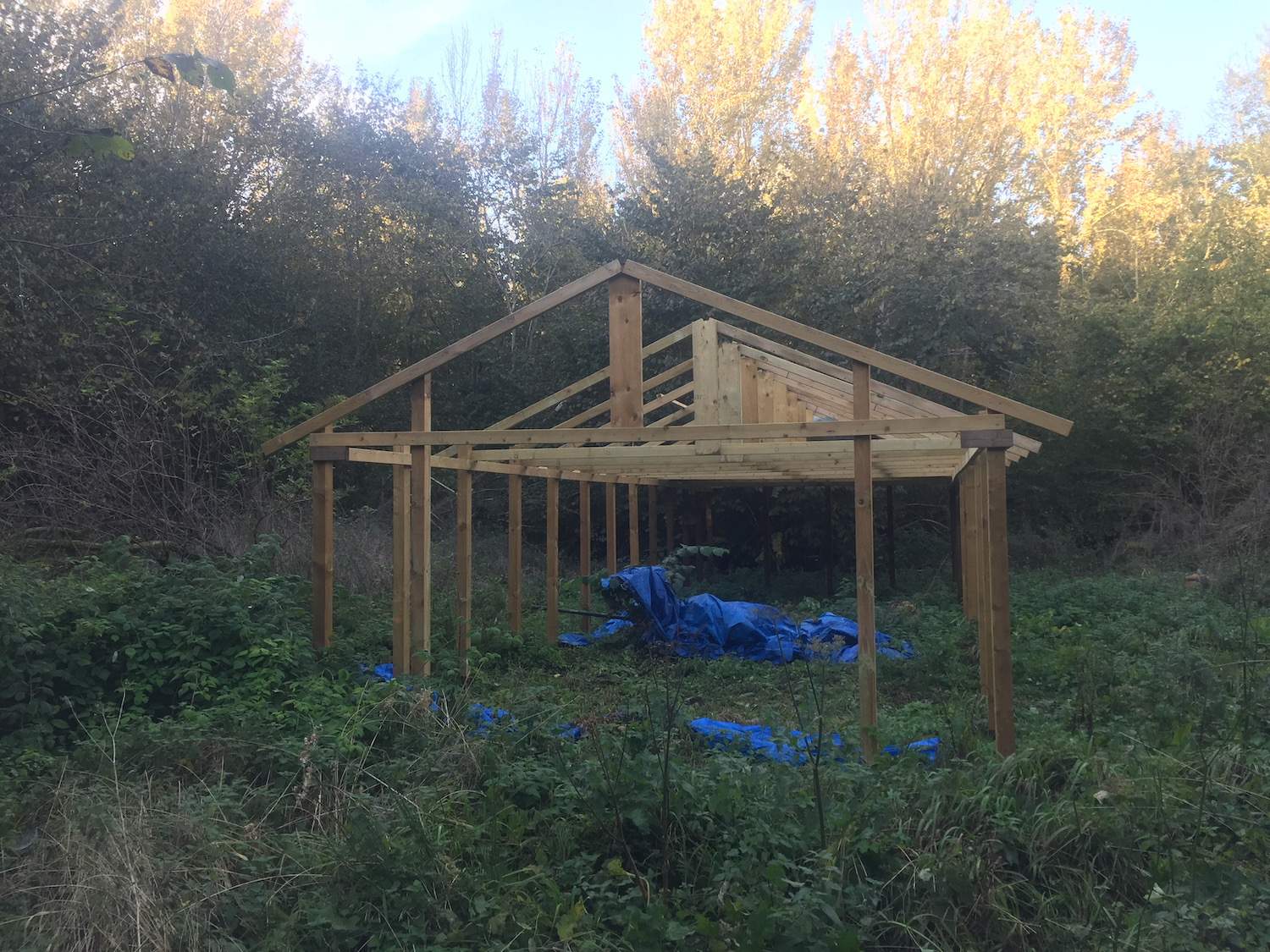 The Drying Barn – Century Wood – notes from a Shropshire woodland