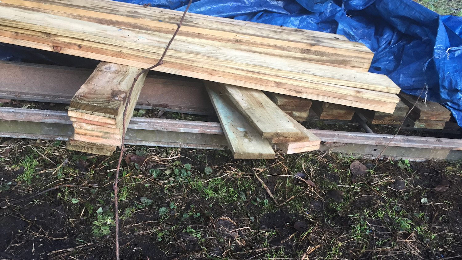 The Drying Barn – Century Wood – notes from a Shropshire woodland