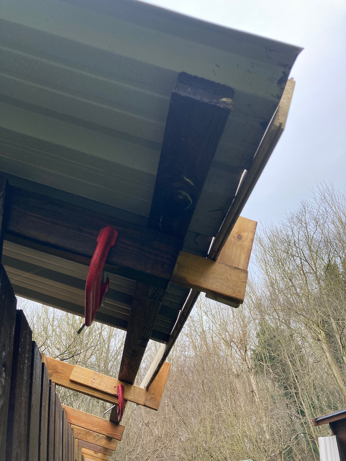 The Drying Barn – Century Wood – notes from a Shropshire woodland