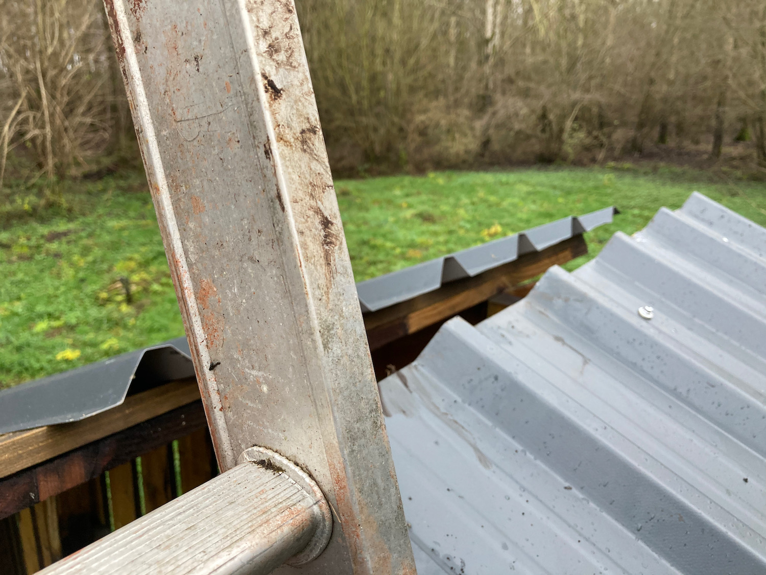 The Drying Barn – Century Wood – notes from a Shropshire woodland
